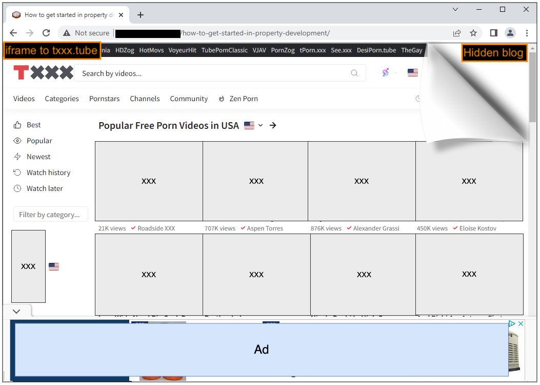 アダルト コンテンツを使用して数百万ドルを稼ぐ Google 広告詐欺キャンペーン - PRSOL:CC